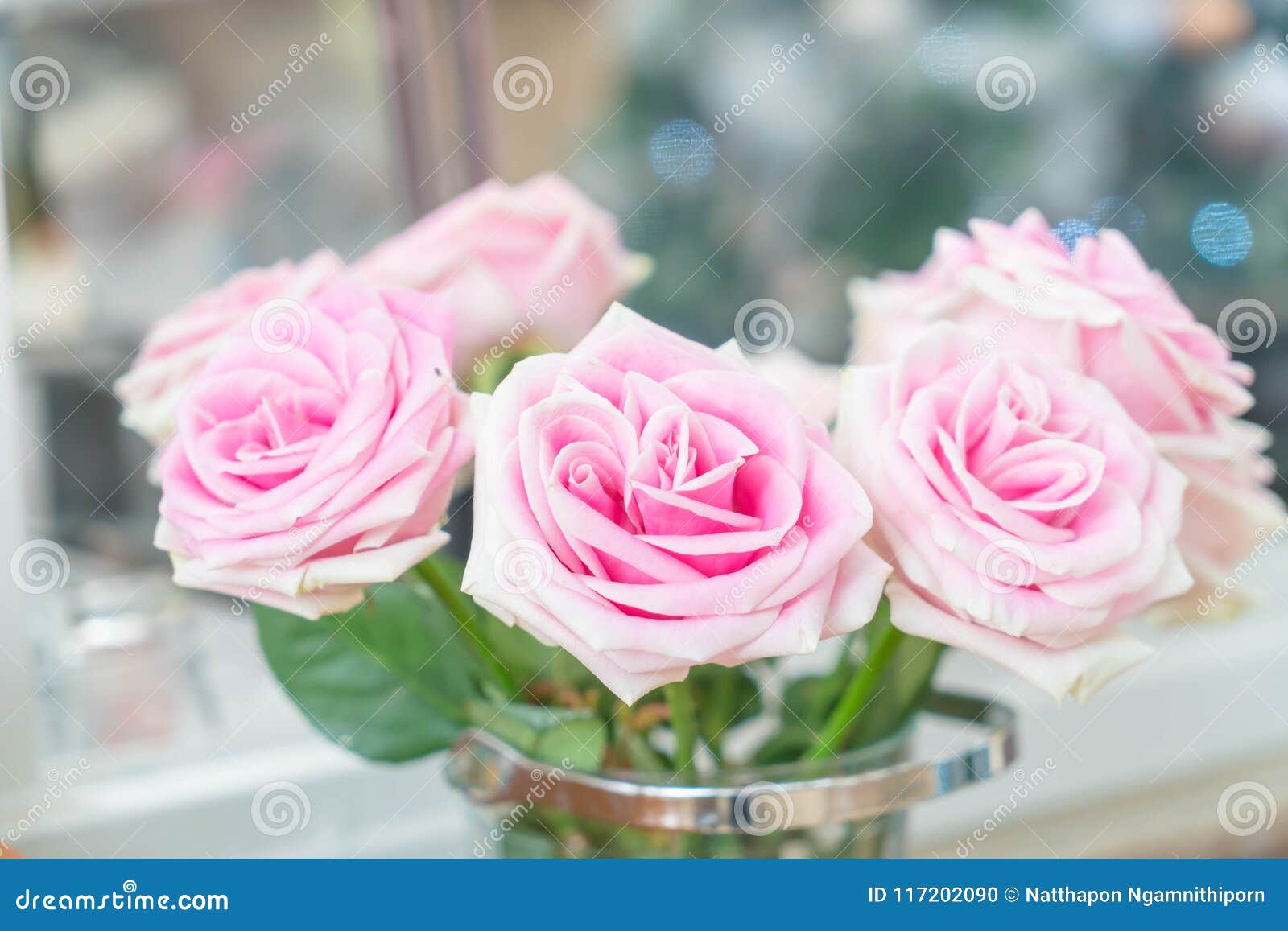 Pink rose in vase stock photo. Image of fresh, love - 117202090