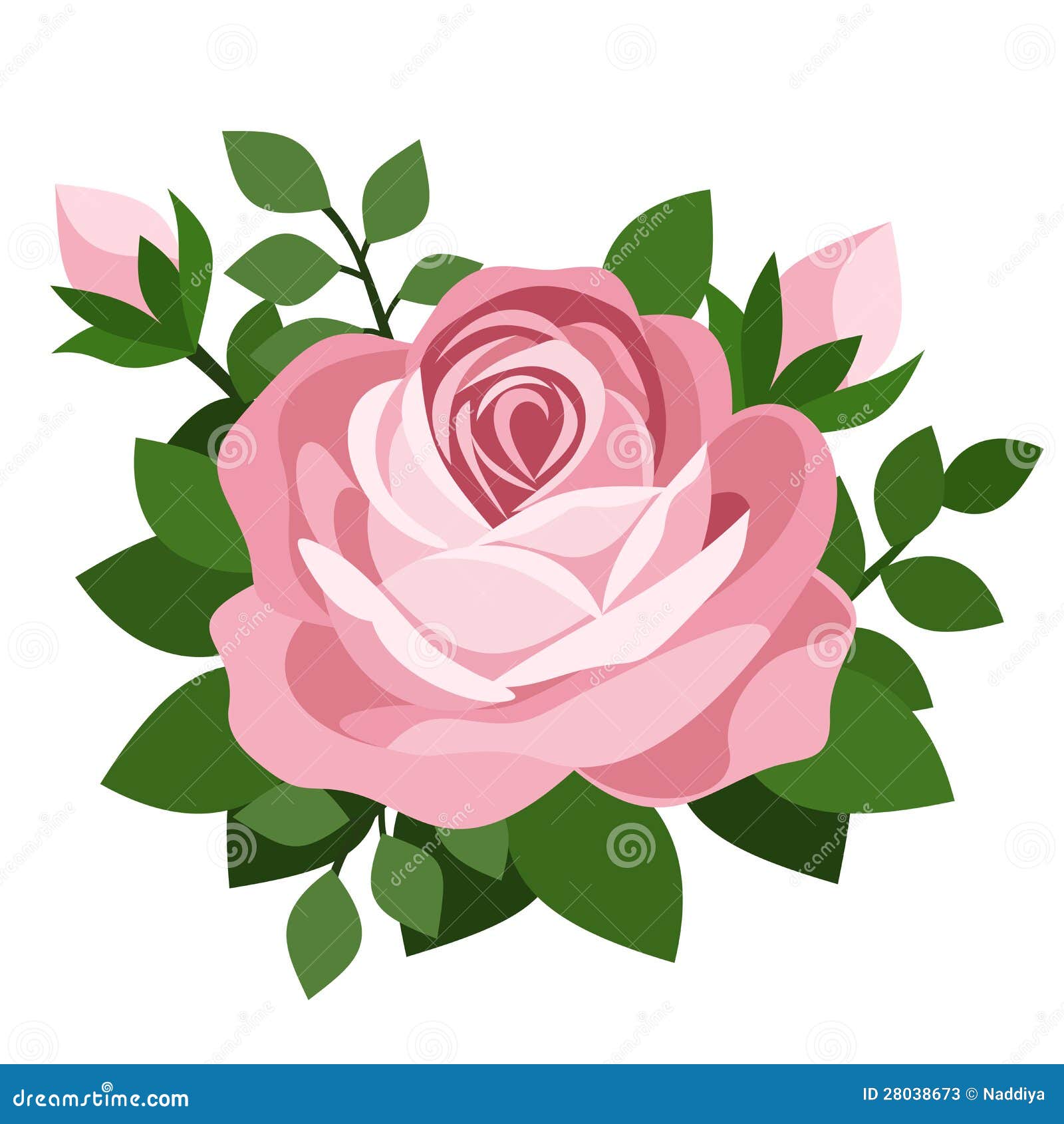 Pink Rose Vector