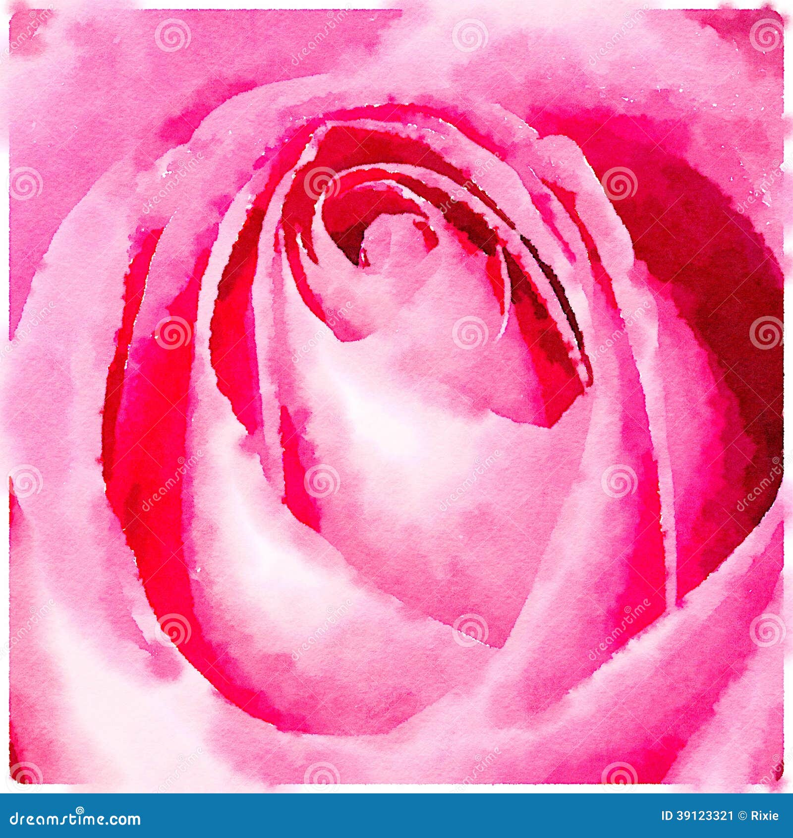 Pink rose watercolour stock illustration. Illustration of ornate - 39123321