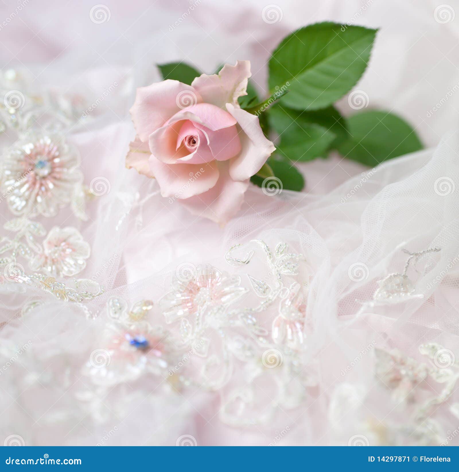 Pink Rose on Wedding Lace (copy Space) Stock Image - Image of lace ...