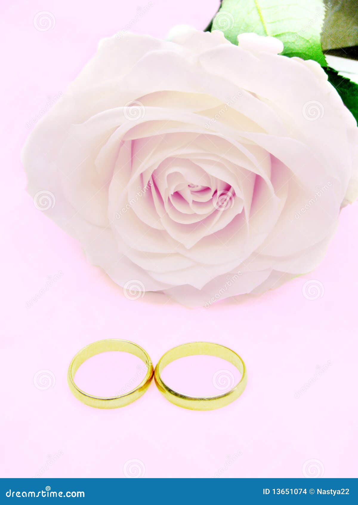 Pink Rose And Wedding Rings Stock Photo - Image of lush, beige: 13651074