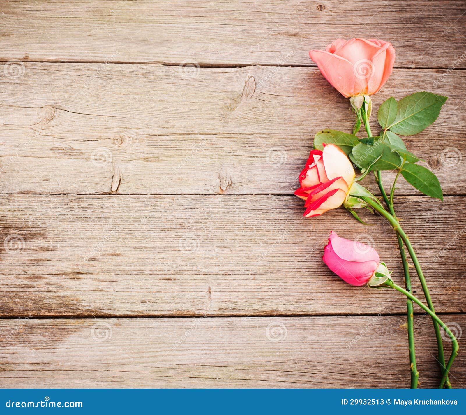 Rose on wooden background stock image. Image of spring - 29932513