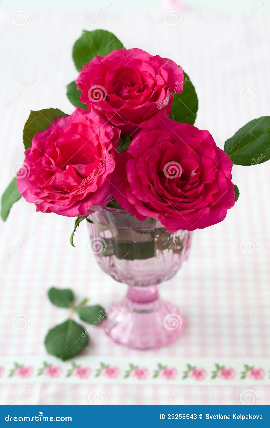 Pink roses stock image. Image of color, colorful, bright - 29258543