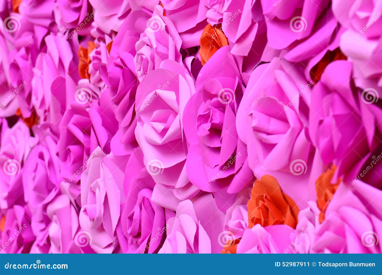 Pink Roses Background Abstract Beautiful Stock Image - Image of bunch ...