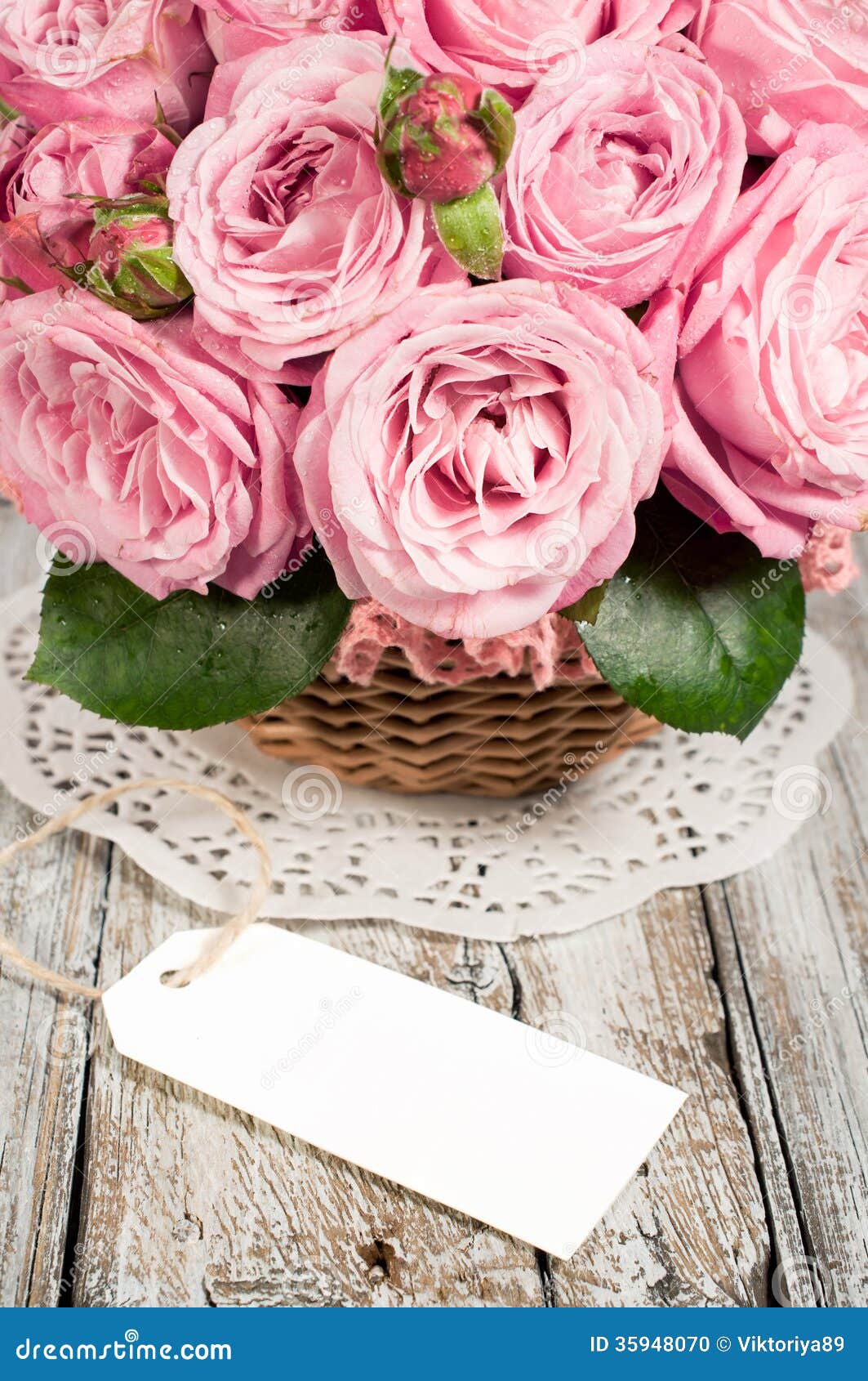 Pink Roses with Blank Label Stock Photo - Image of pastel, design: 35948070