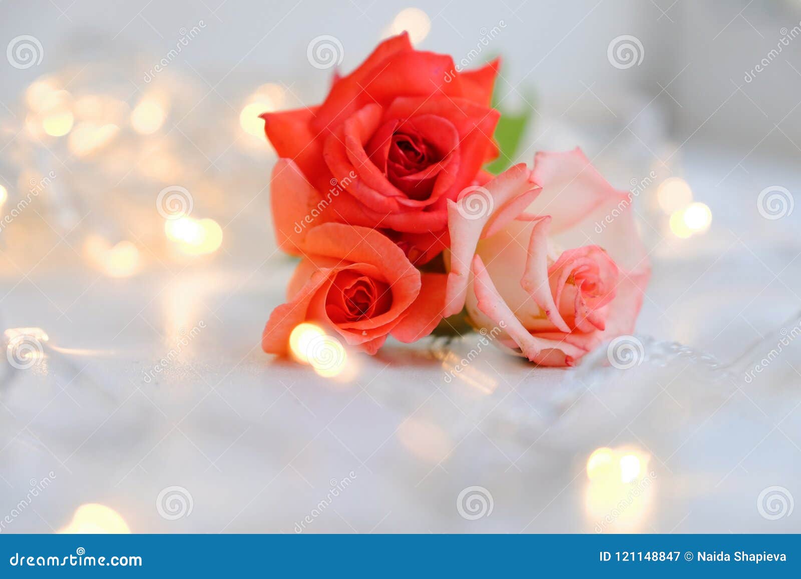 Roses with Bokeh Background Stock Image - Image of coffee, bloom: 121148847
