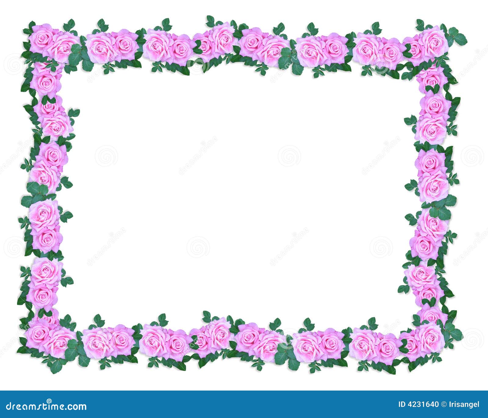 Pink Roses border stock illustration. Illustration of decoration - 4231640