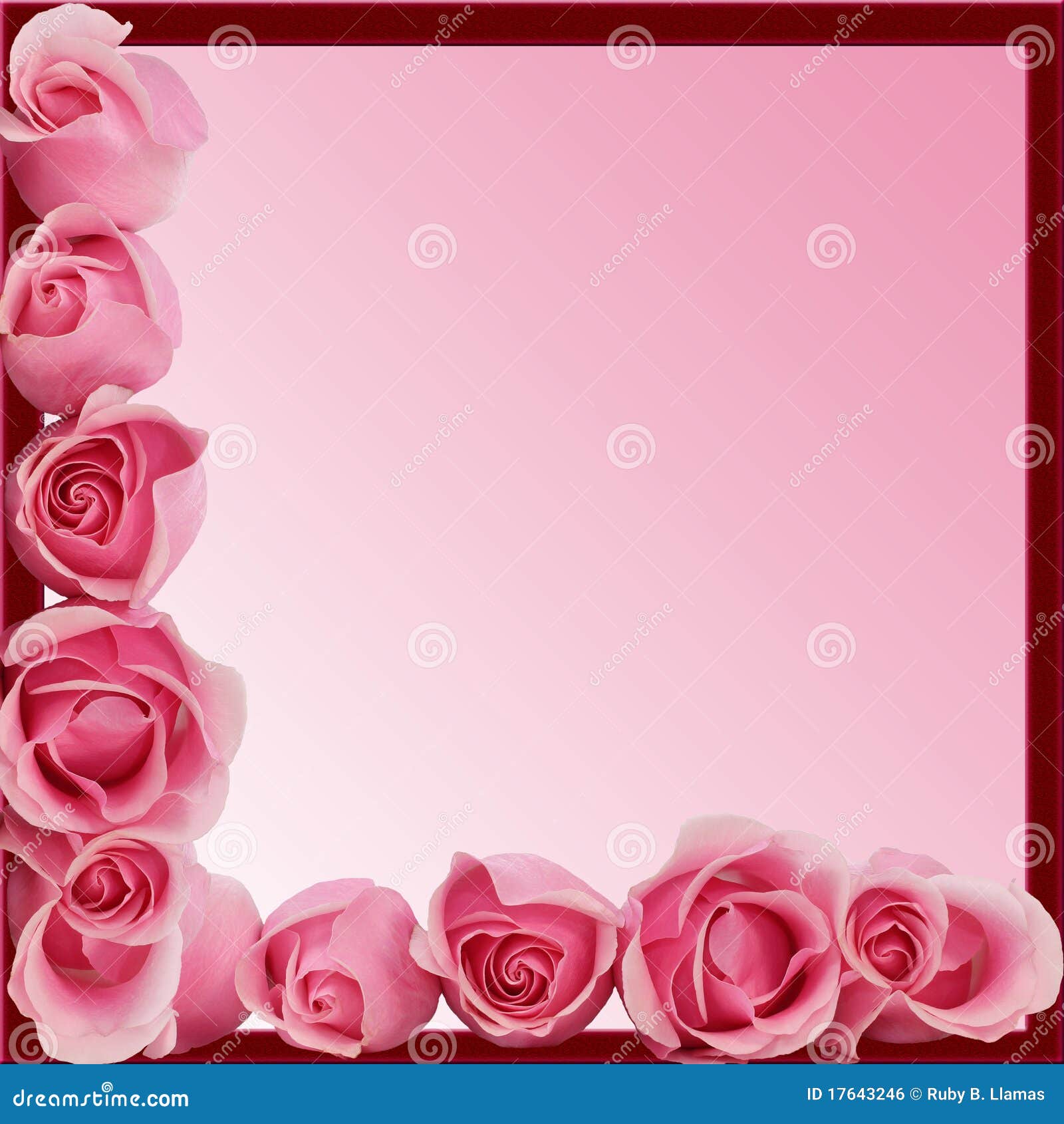 Pink Roses Border Frame Side Bottom Stock Photo - Image of copyspace ...
