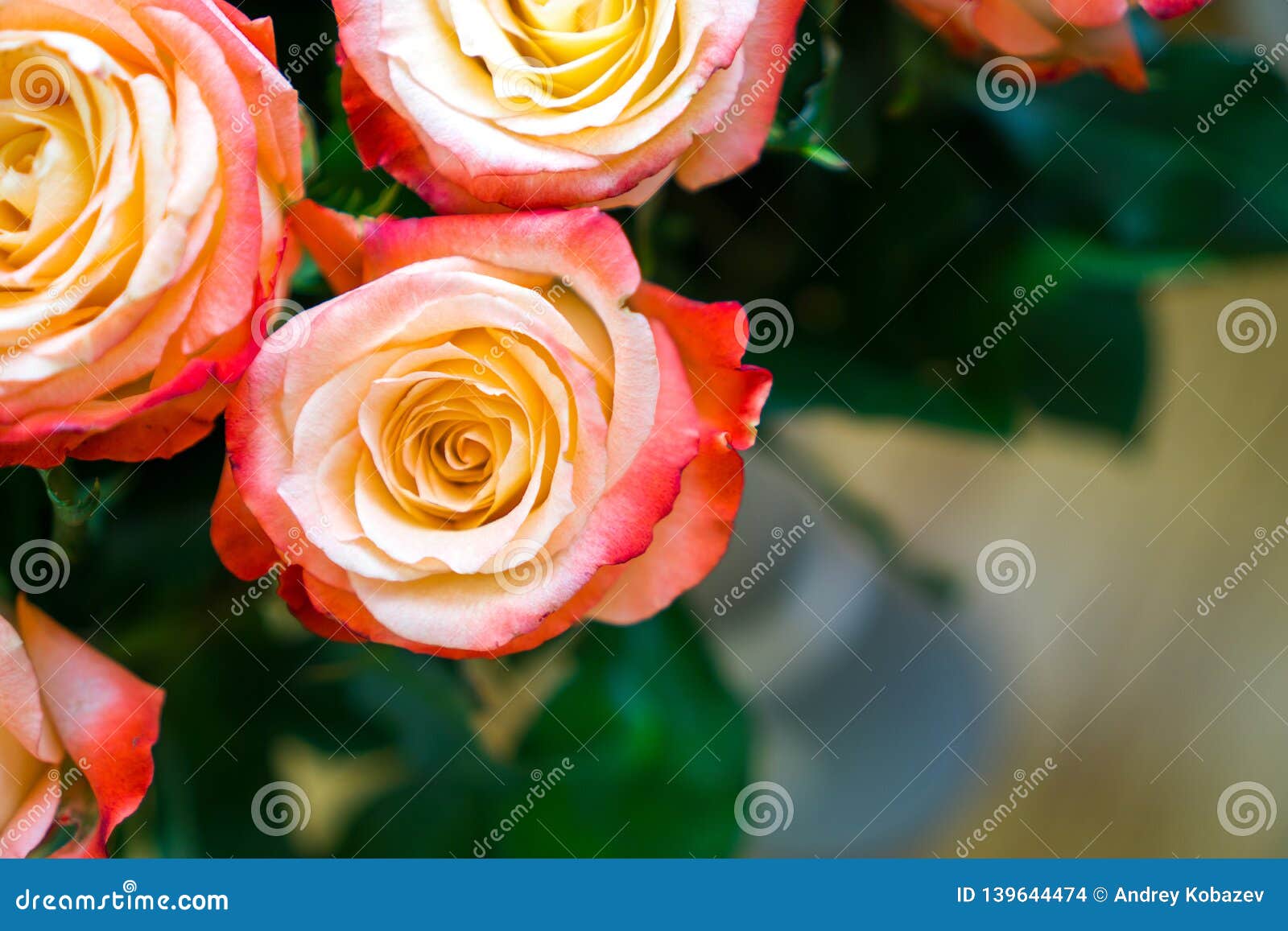 Pink roses in a bouquet stock photo. Image of happy - 139644474