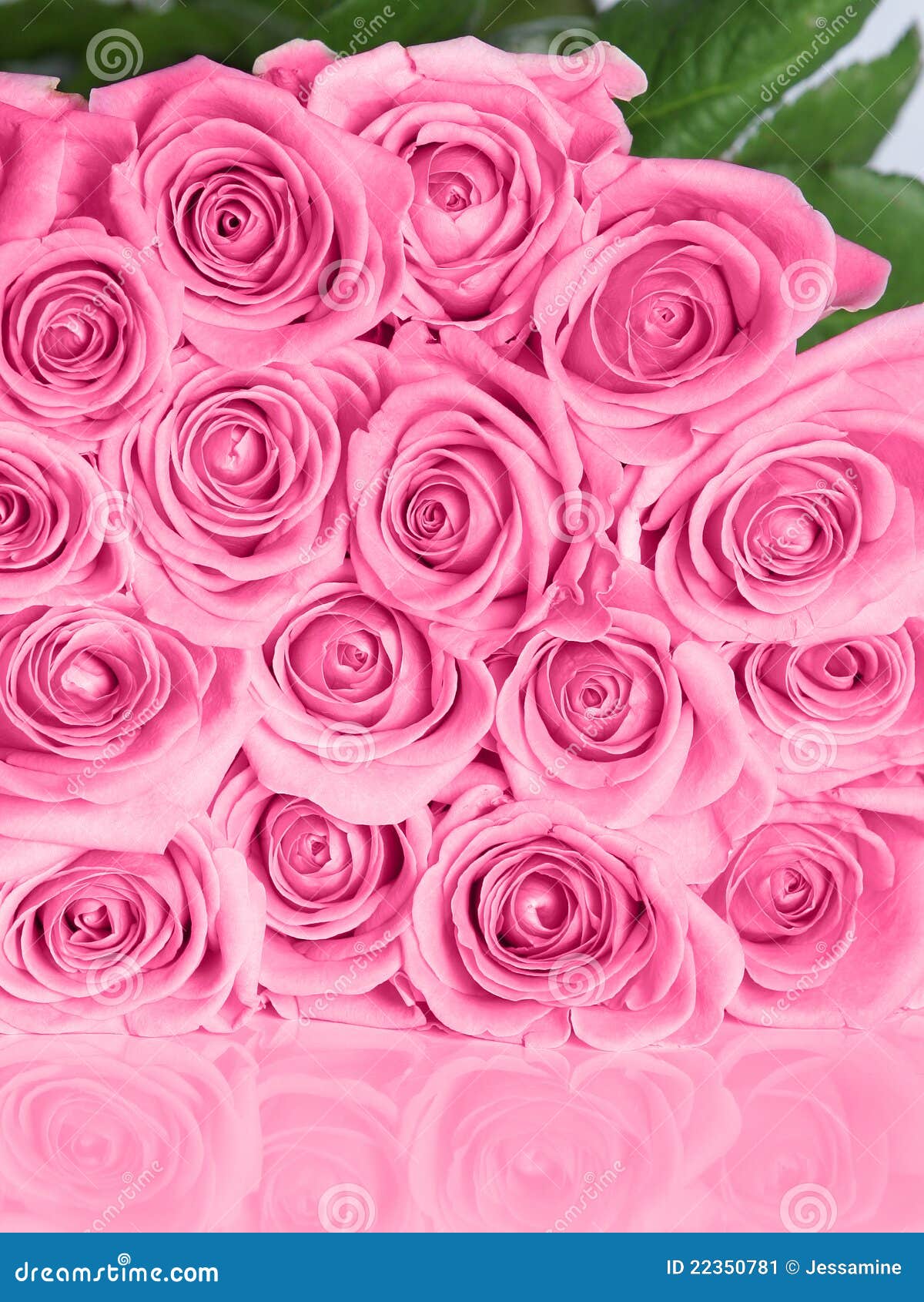 Pink roses bouquet stock image. Image of gift, love, bunch - 22350781