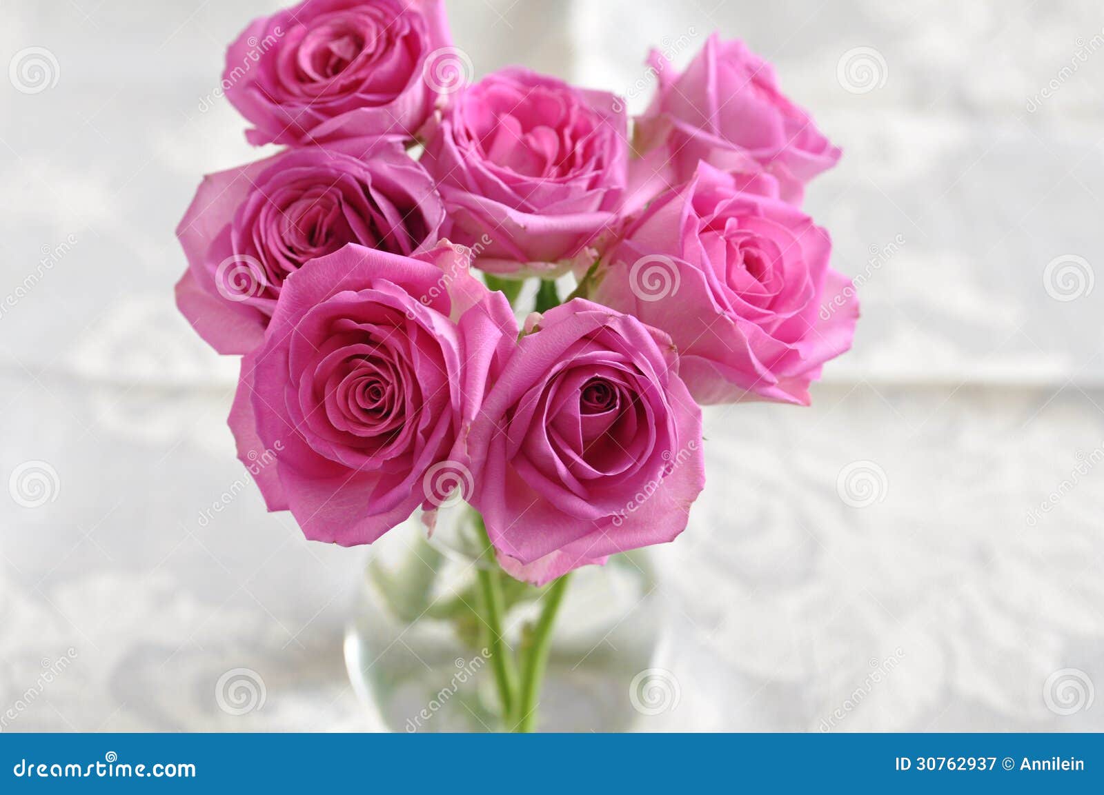 Pink roses. stock image. Image of blooms, friendship - 30762937