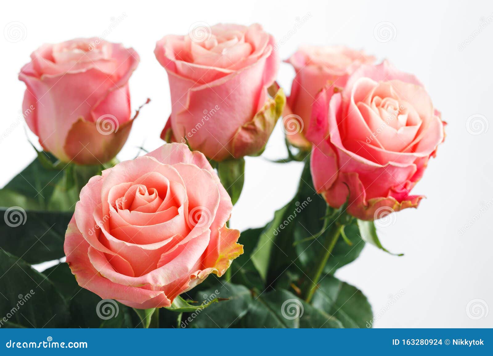 Pink roses bouquet stock photo. Image of celebration - 163280924