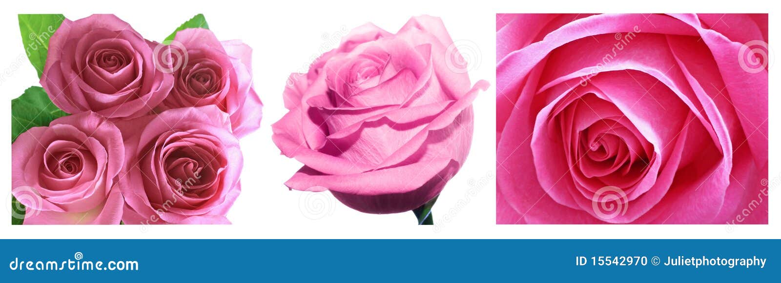 1,916 Collage Pink Roses Stock Photos - Free & Royalty-Free Stock ...