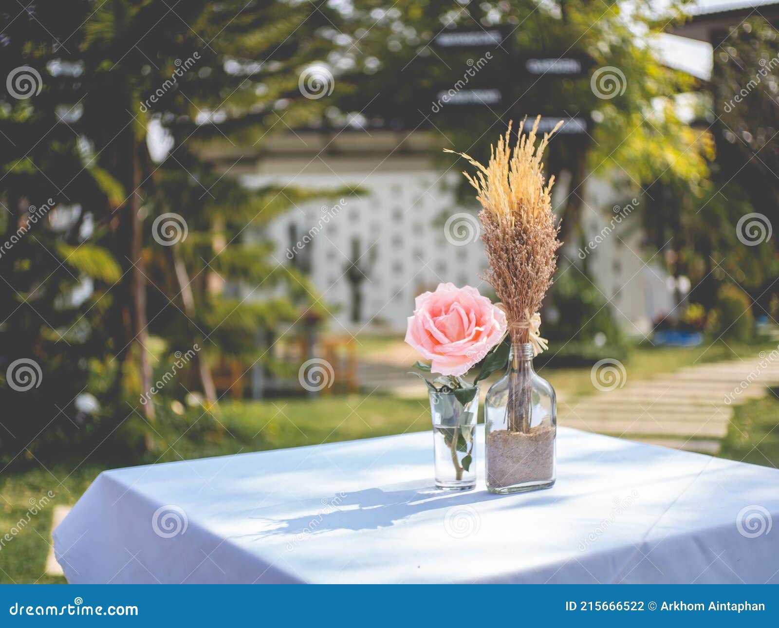 Pink Roses on the Dining Table beside the Water Stock Photo - Image of ...