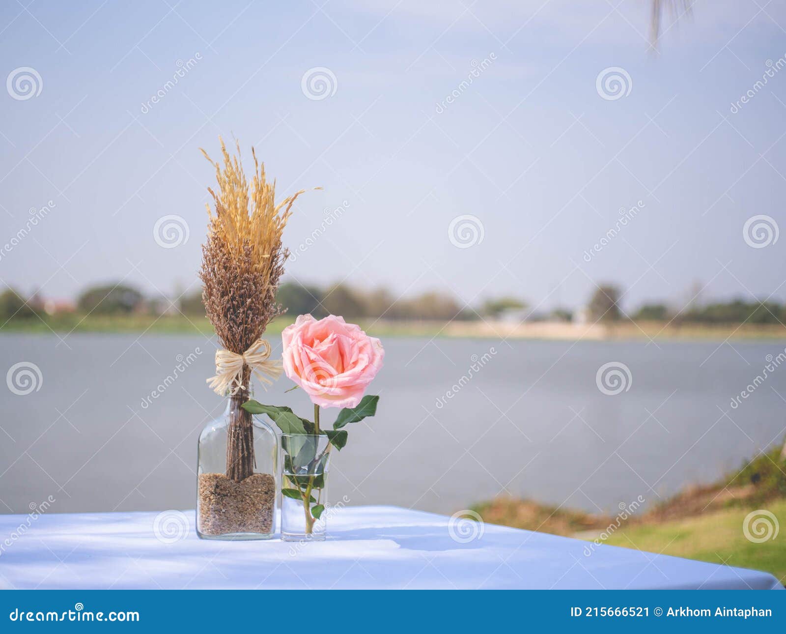 Pink Roses on the Dining Table beside the Water Stock Image - Image of ...