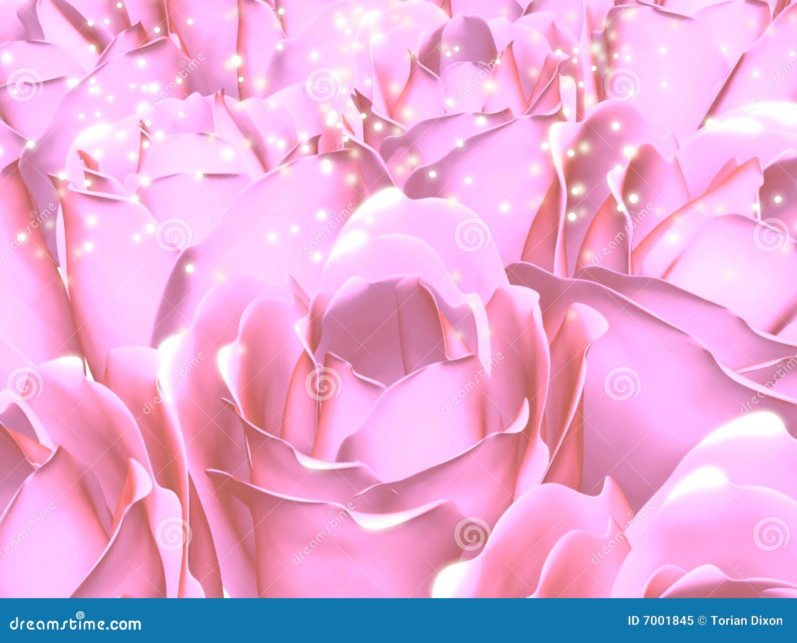Pink Roses, Fairy Dust stock image. Image of fairy, close - 7001845
