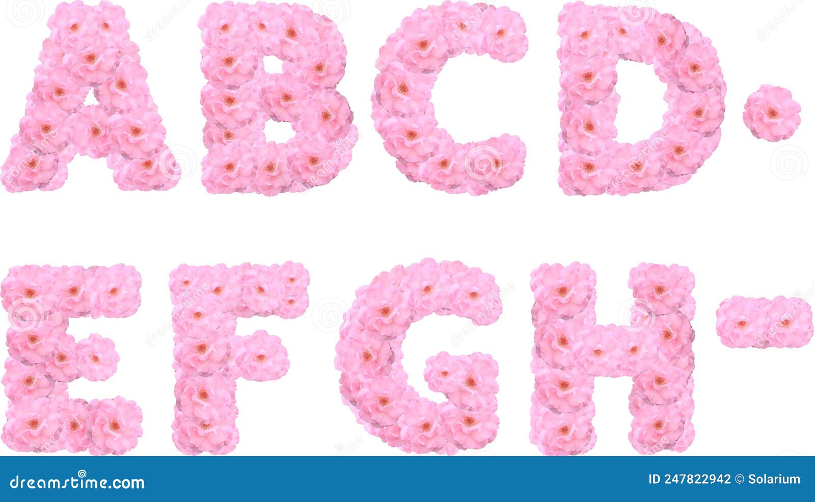 Pink roses stock illustration. Illustration of spring - 247822942