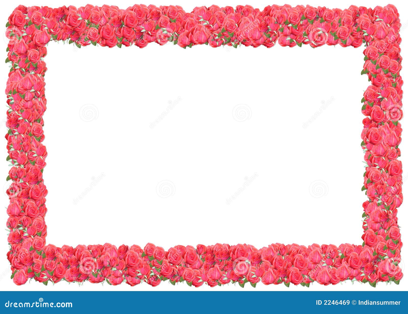 Pink Roses frame stock illustration. Illustration of advertise - 2246469