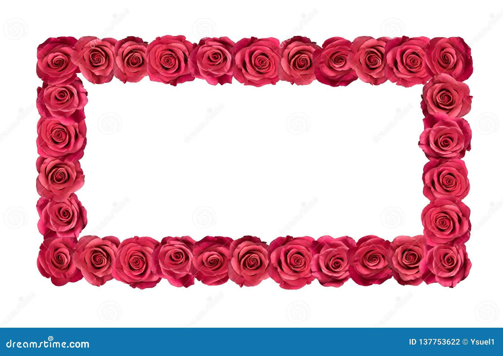 Pink roses frame stock photo. Image of bouquet, love - 137753622