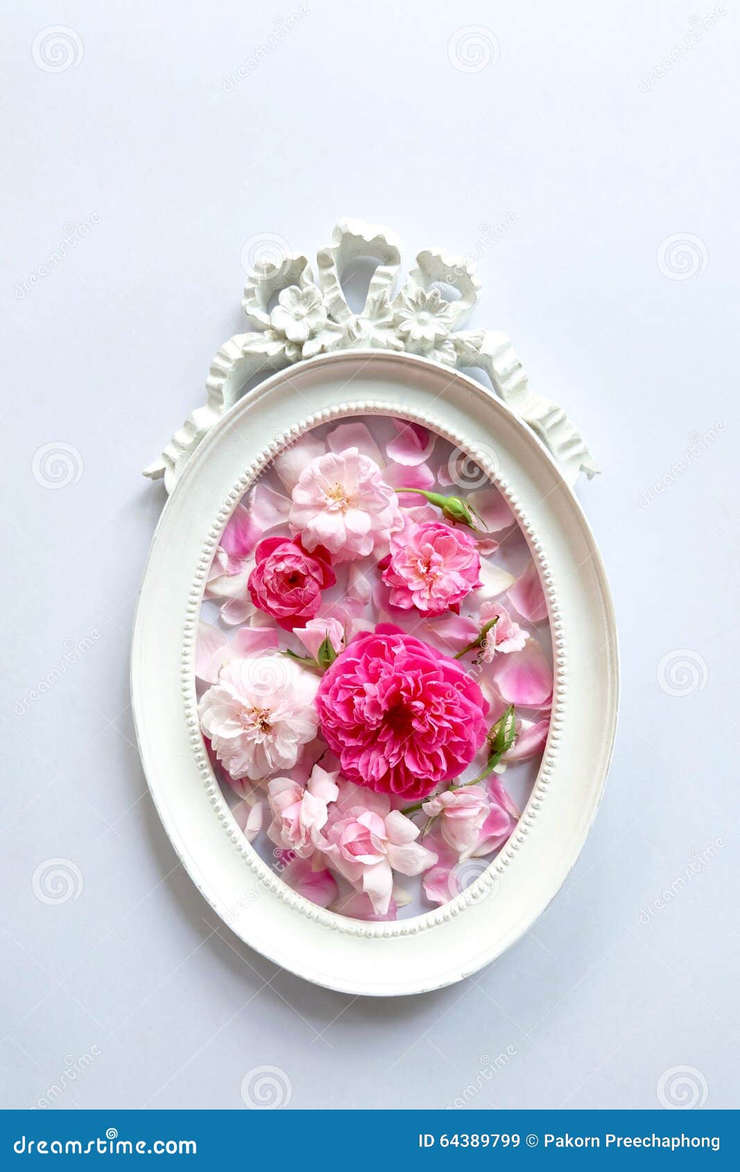 Pink roses and frames stock image. Image of decor, rose - 64389799