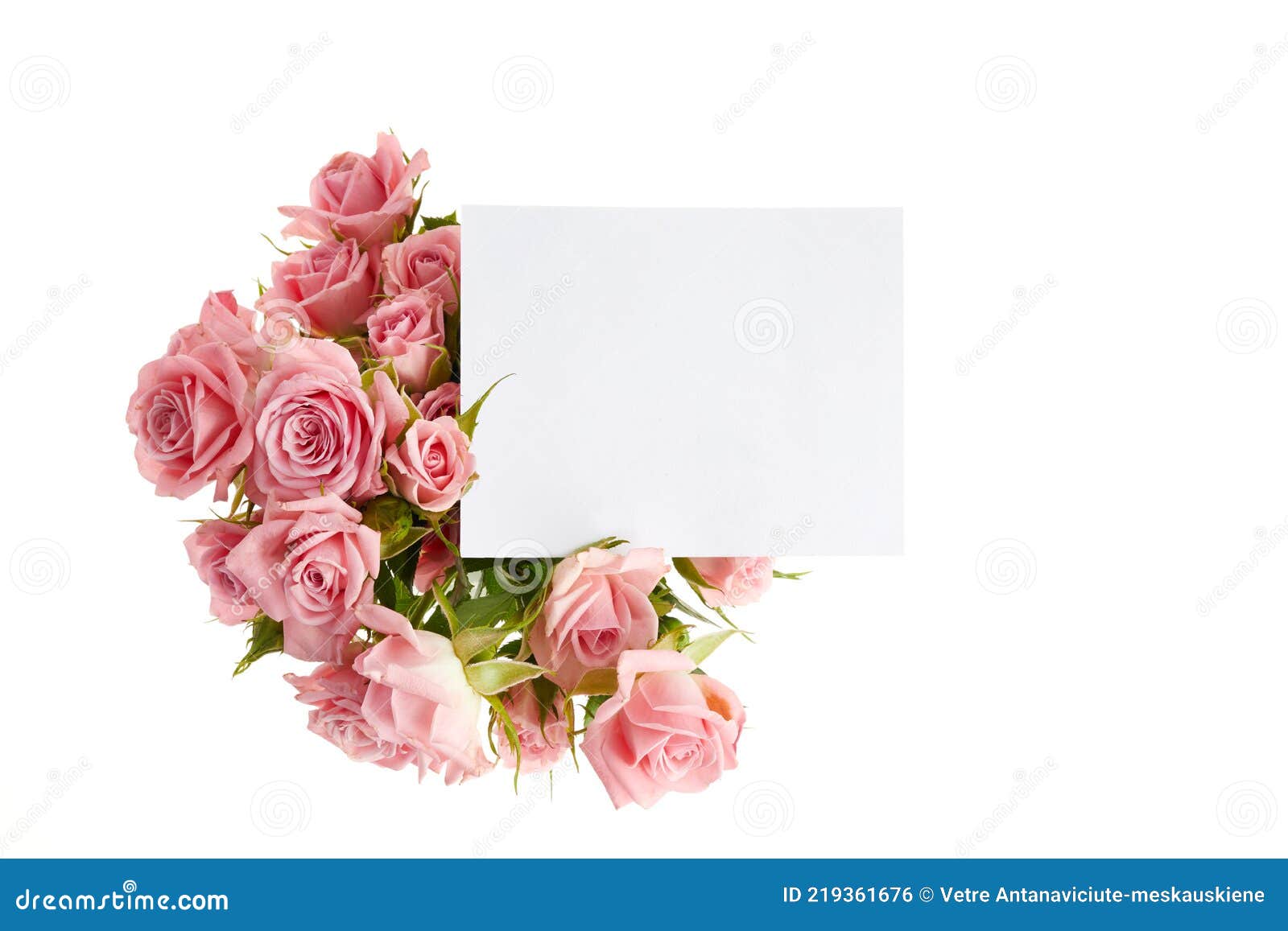 Red Roses On A Red Framework For Photos. | CartoonDealer.com #5534628