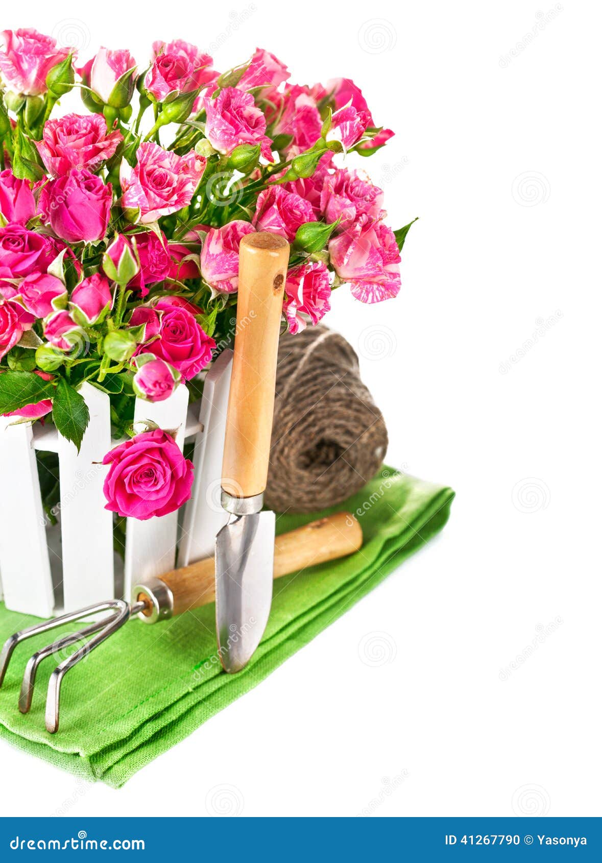 Pink Roses with Garden Tools Stock Photo - Image of leafage, blooming ...