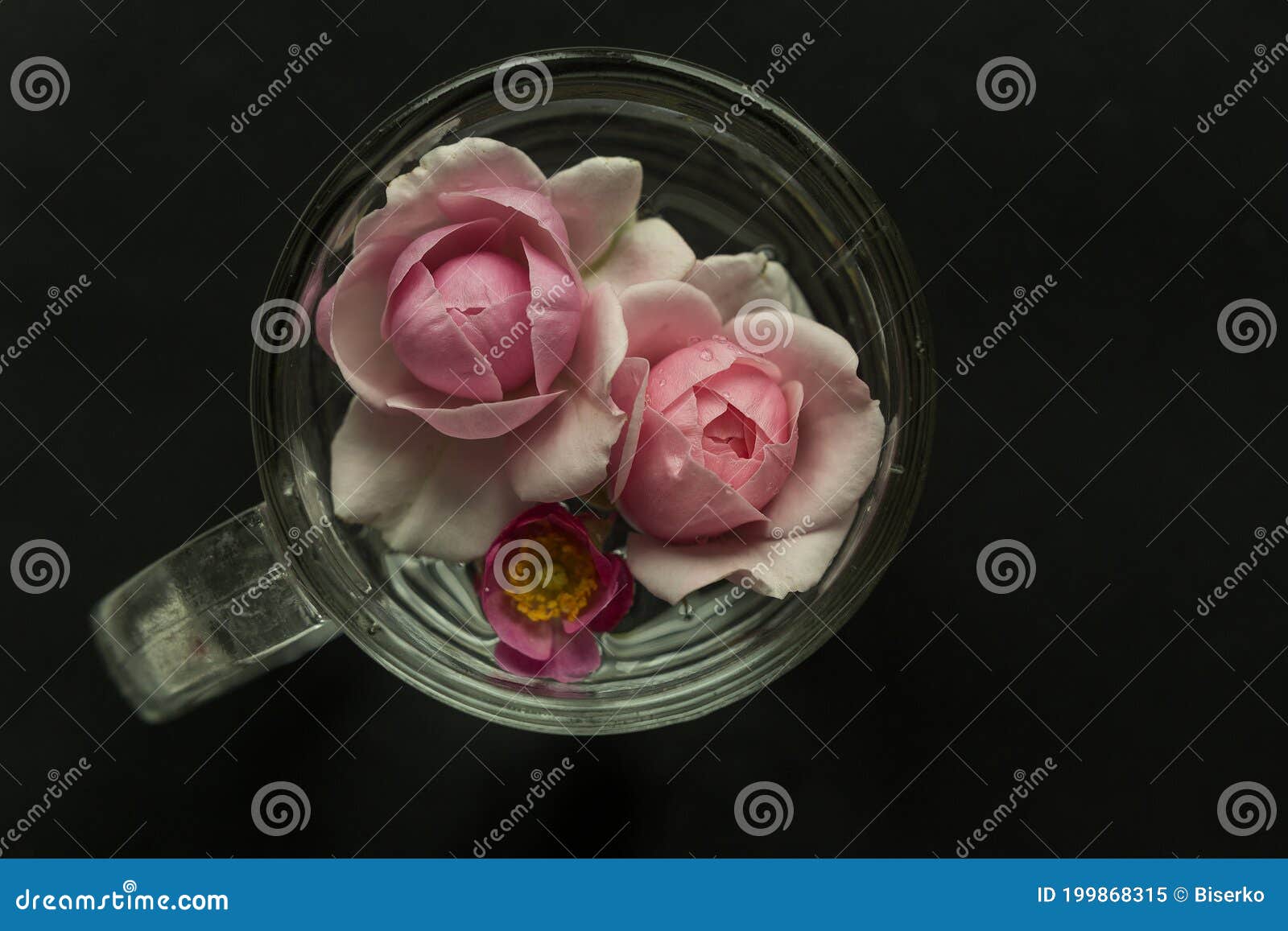 Pink roses in the glass stock image. Image of gift, glass - 199868315