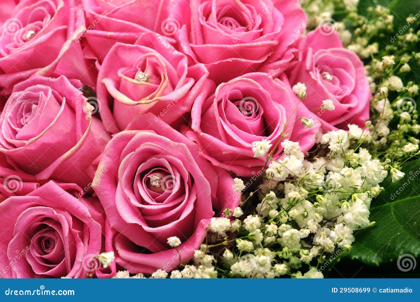 Pink roses with glitter stock image. Image of bouquet - 29508699