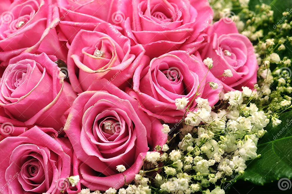 Pink roses with glitter stock image. Image of bouquet - 29508699