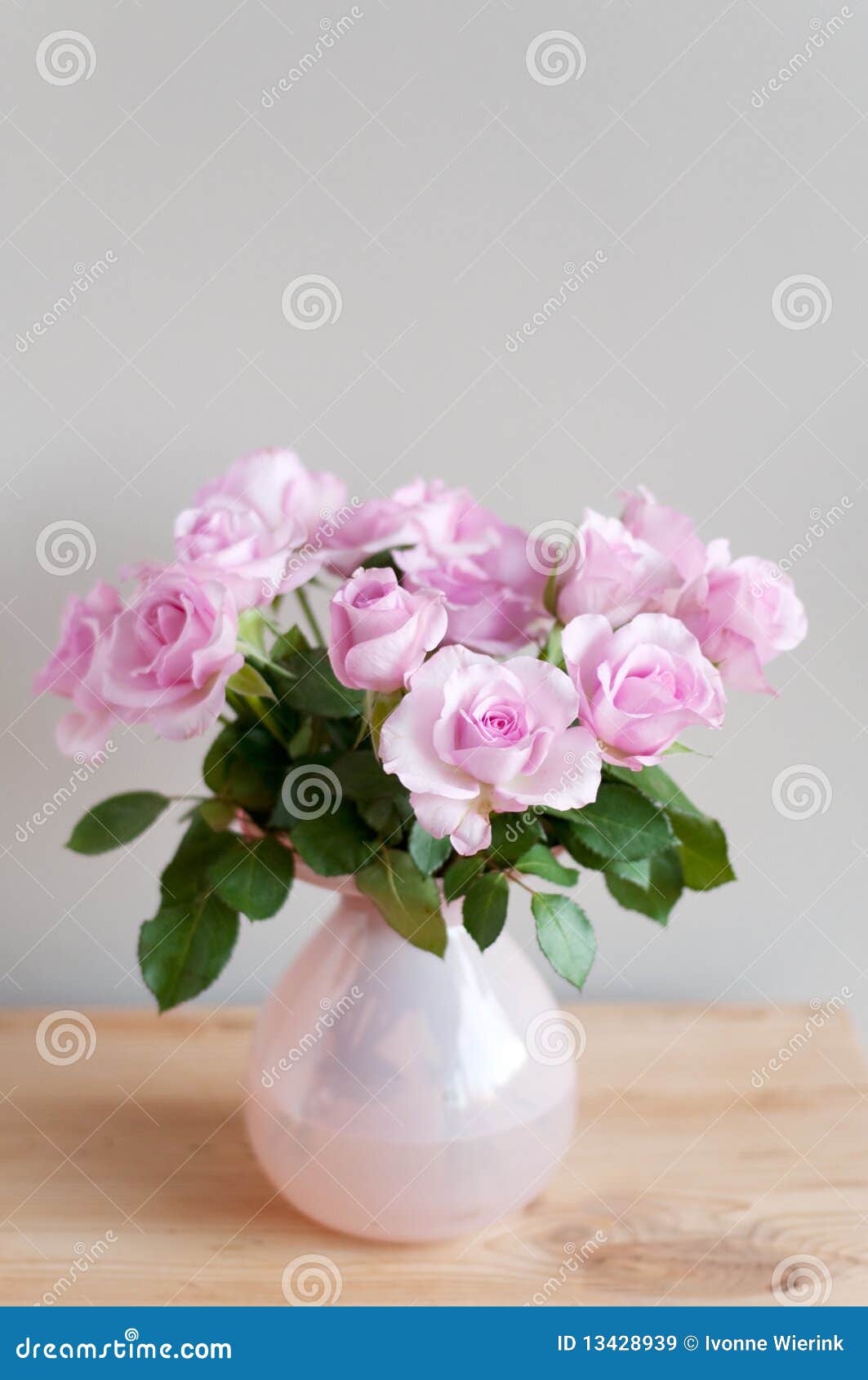 4,972 Pink Gray Roses Stock Photos - Free & Royalty-Free Stock Photos ...