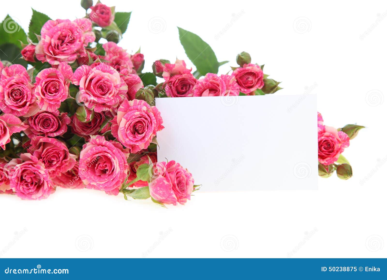 Pink Roses and Greeting Card Stock Image - Image of romance, holidays ...