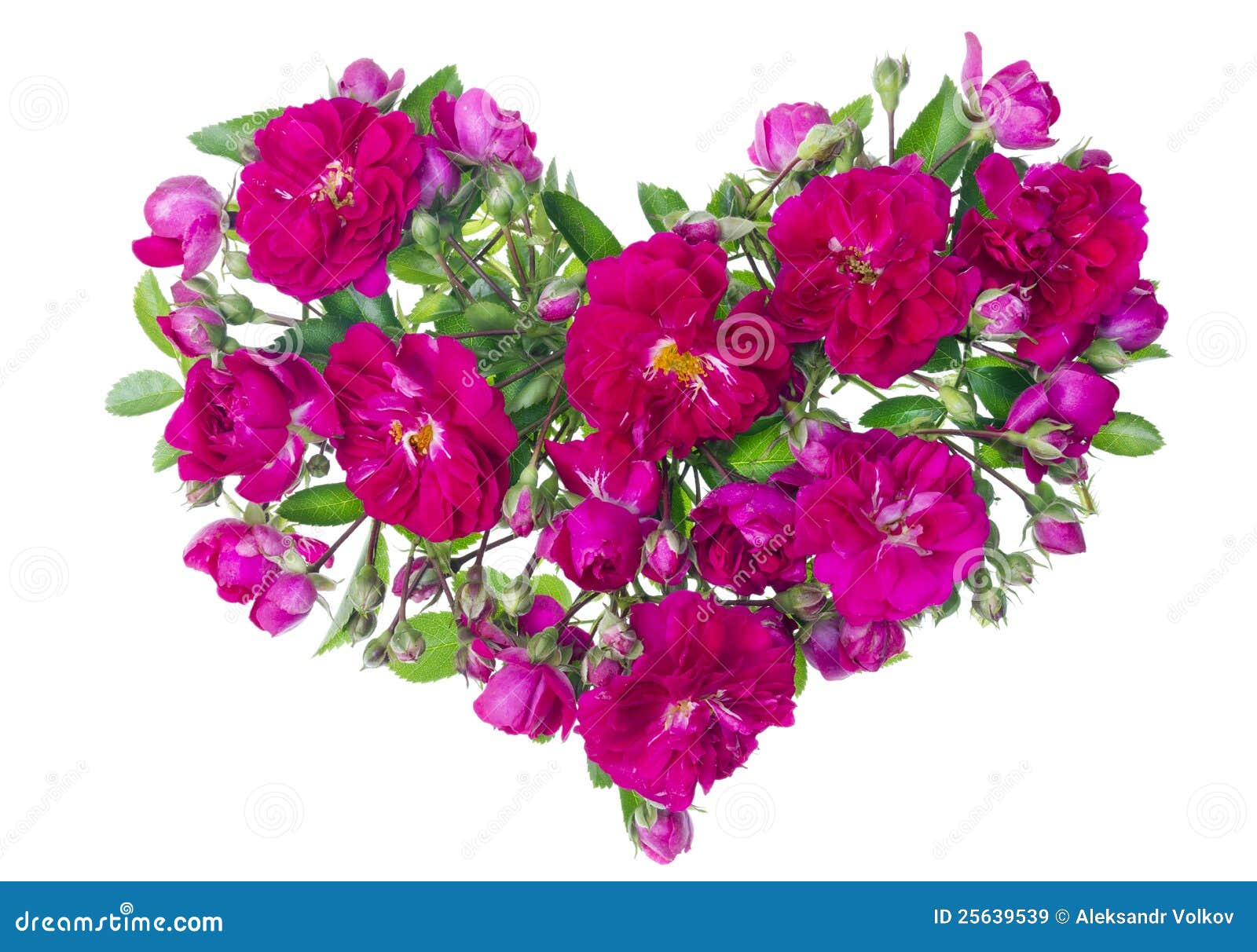 Pink roses heart isolated stock image. Image of heart - 25639539