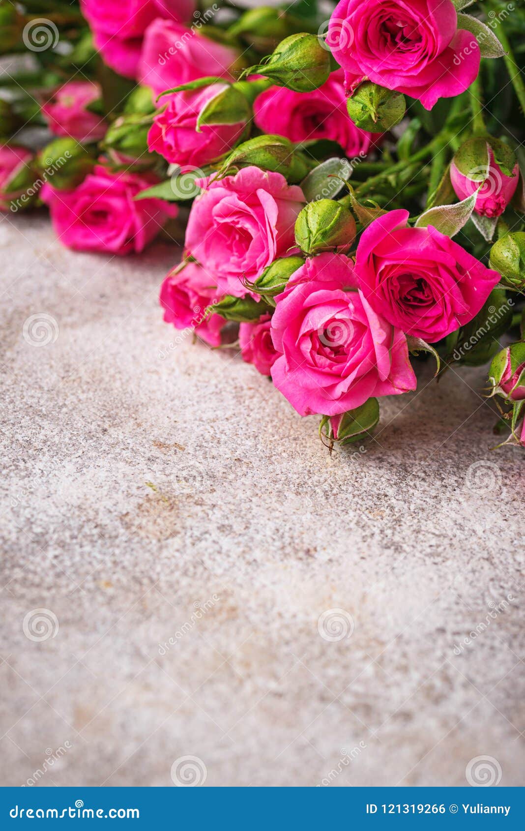 Pink Roses on Light Background Stock Photo - Image of blossom ...