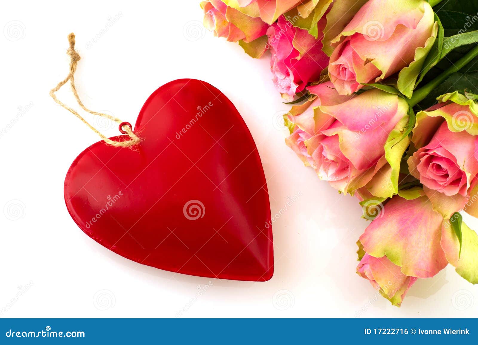 Pink roses for love stock photo. Image of birthday, roses - 17222716