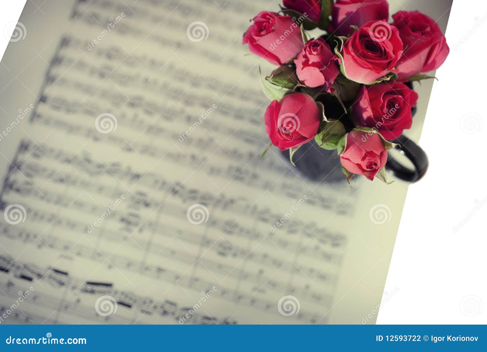 Pink Roses on Musical Notes Stock Photo - Image of color, musical: 12593722