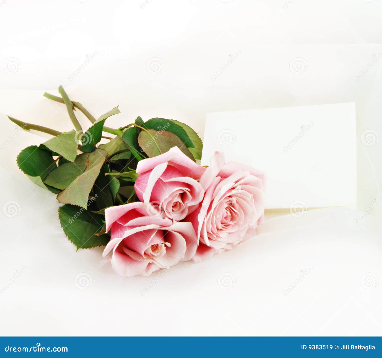 Pink Roses and Note stock image. Image of card, empty - 9383519