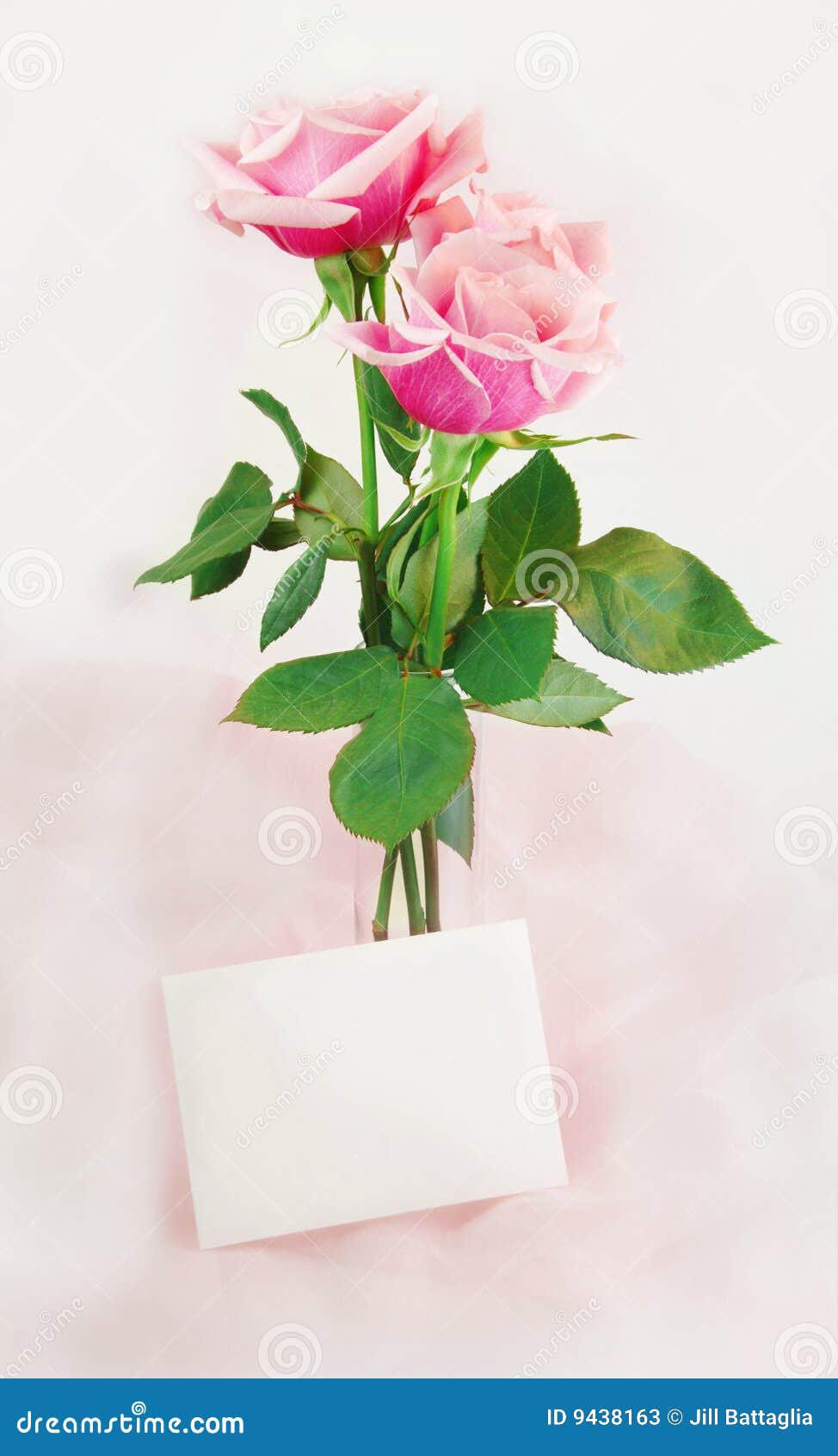 Pink Roses and Note stock image. Image of valentine, rose - 9438163