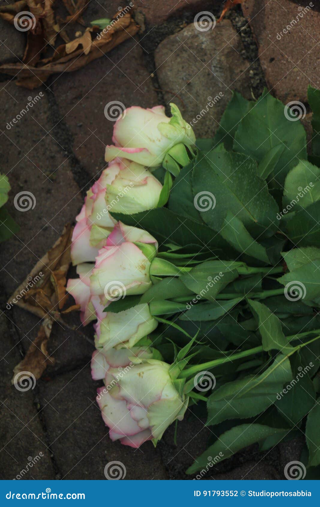 Pink roses on pavement stock photo. Image of mourning - 91793552