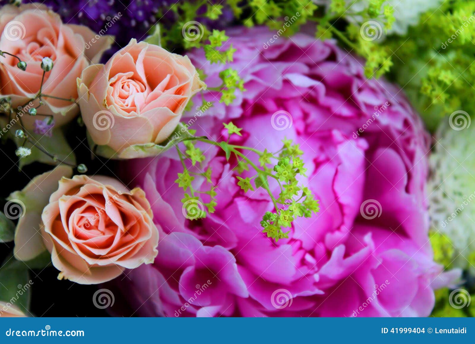 Pink roses and peony stock photo. Image of abstract, marriage - 41999404