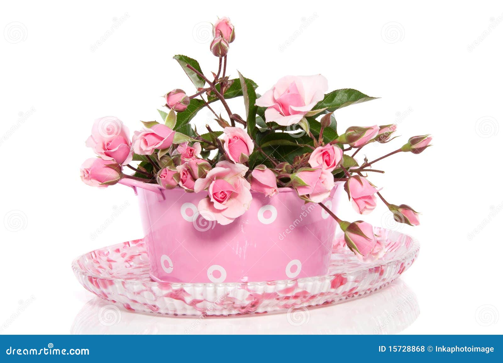 Pink Roses in a Pink Bucket Stock Photo - Image of colorful, plate ...