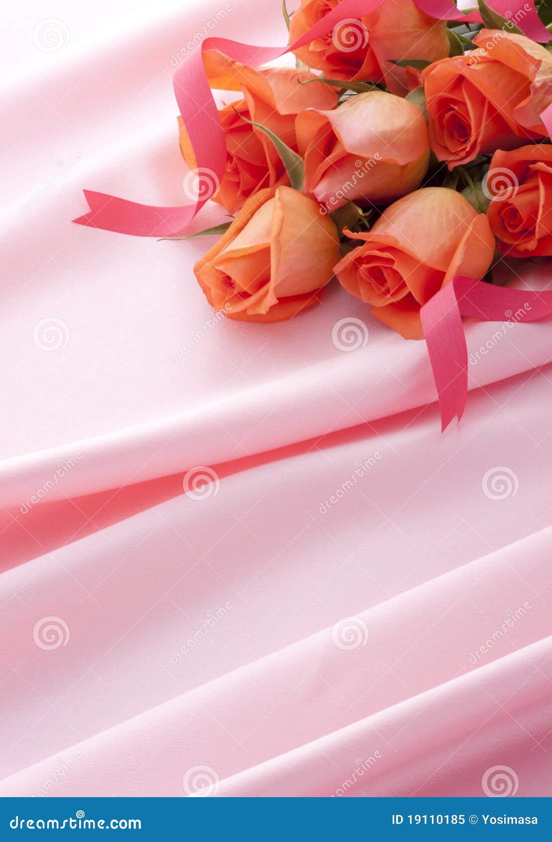 Pink roses on pink satin stock image. Image of fold, curves - 19110185