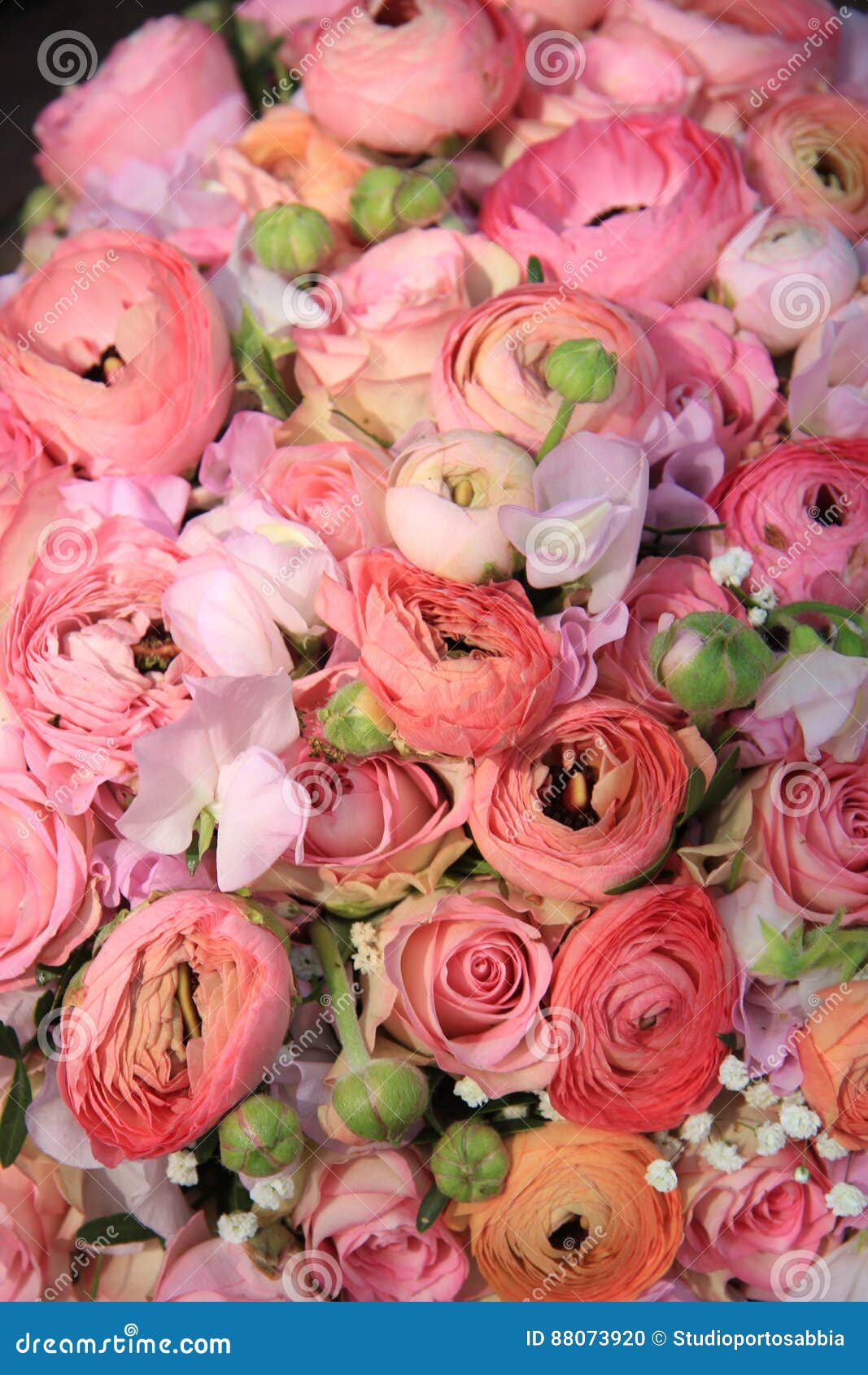 Pink Roses and Ranunculus Bridal Bouquet Stock Photo - Image of ...
