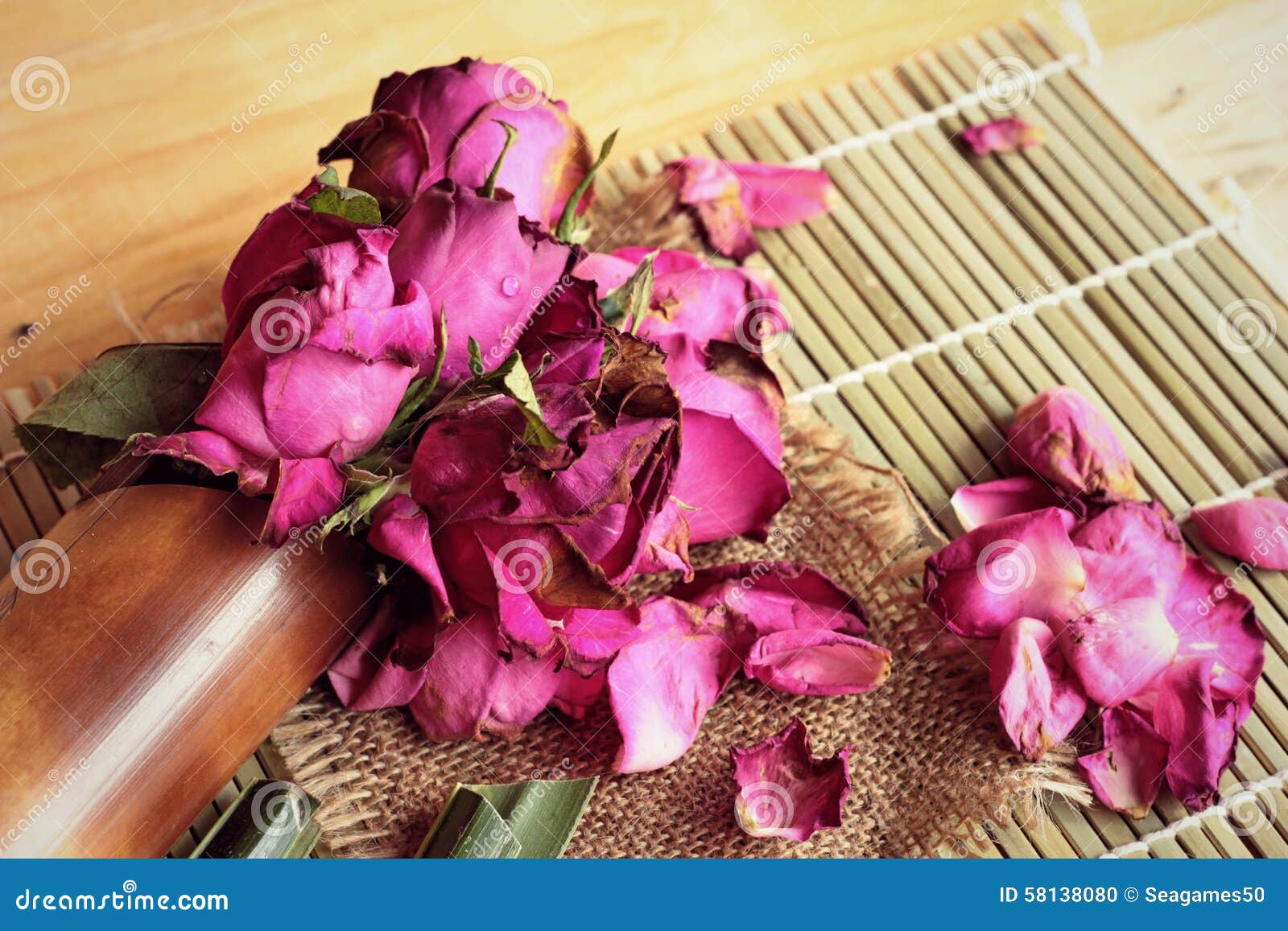 Pink Roses and Rose Petals Were Sprinkled Fallen. Stock Photo - Image ...