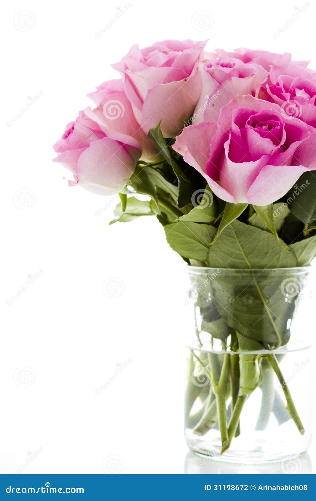 Pink roses stock photo. Image of bloom, genus, rosa, hybrid - 31198672