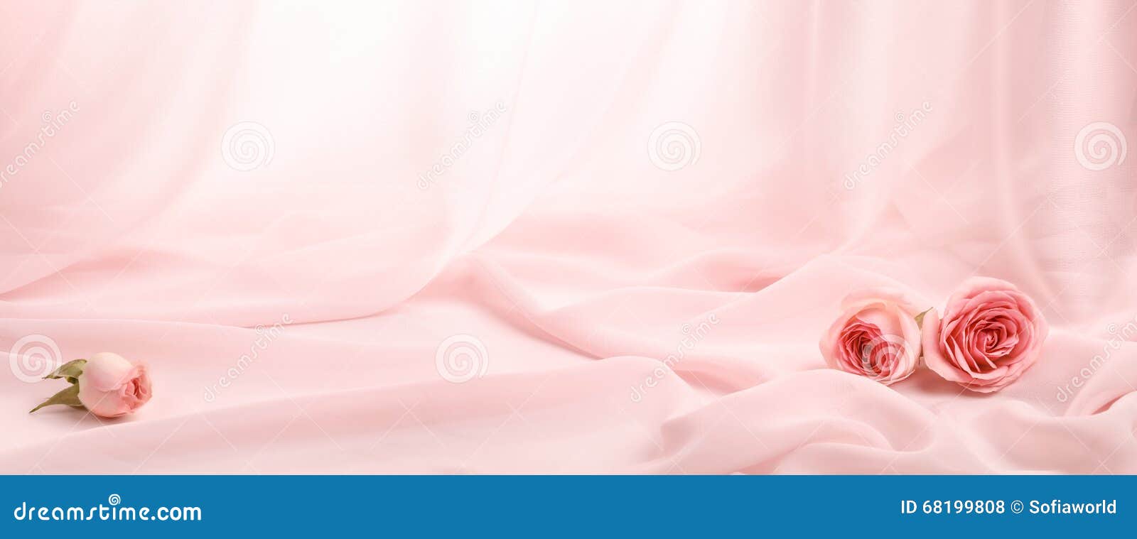 Pink roses on soft silk stock photo. Image of romance - 68199808