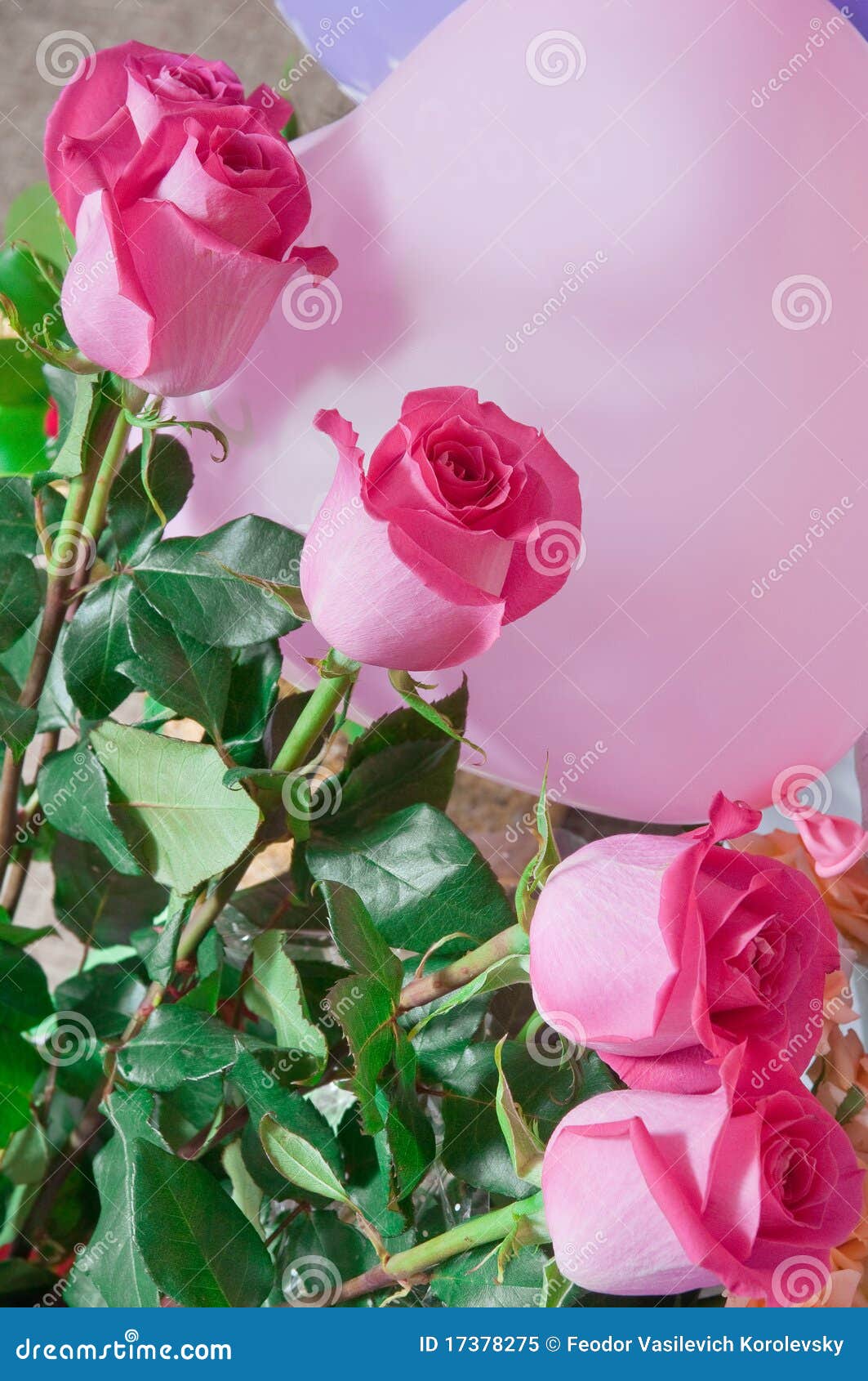 Pink roses and sphere. stock image. Image of plant, leaf - 17378275