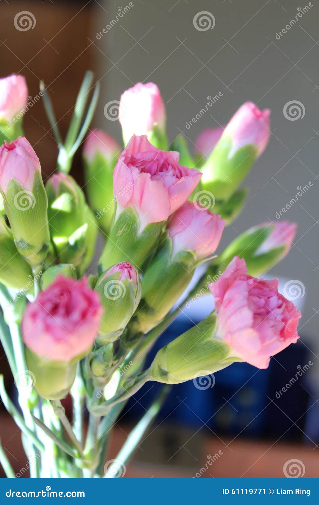 Pink Roses on a Table in a Restaurant Stock Image - Image of restaurant ...
