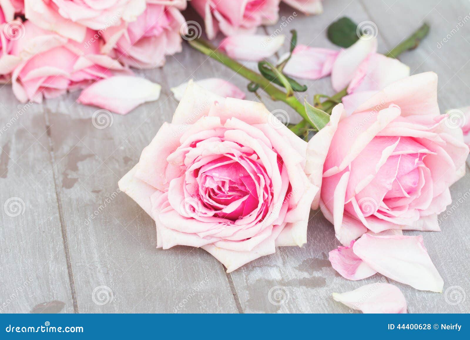 Pink roses on table stock photo. Image of design, floral - 44400628