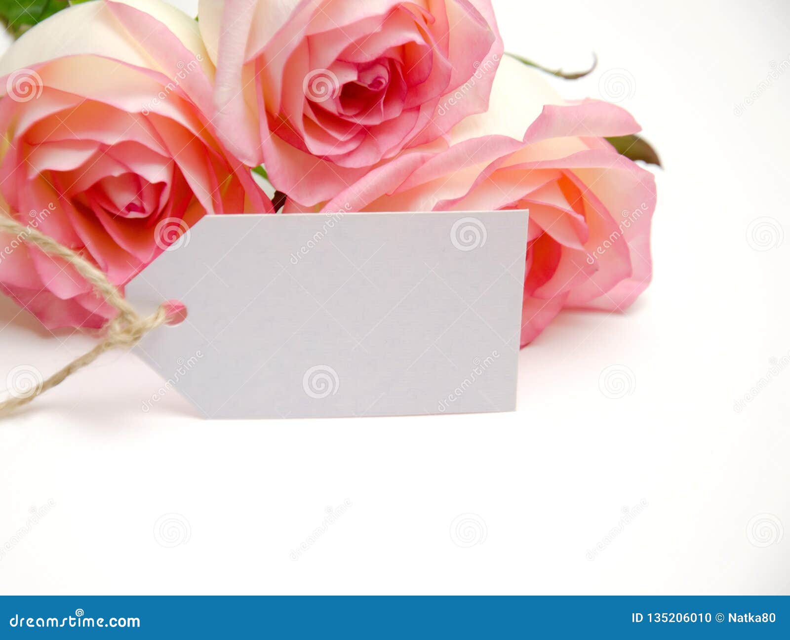 Pink Roses and Tag Pattern on White Background Stock Photo - Image of ...