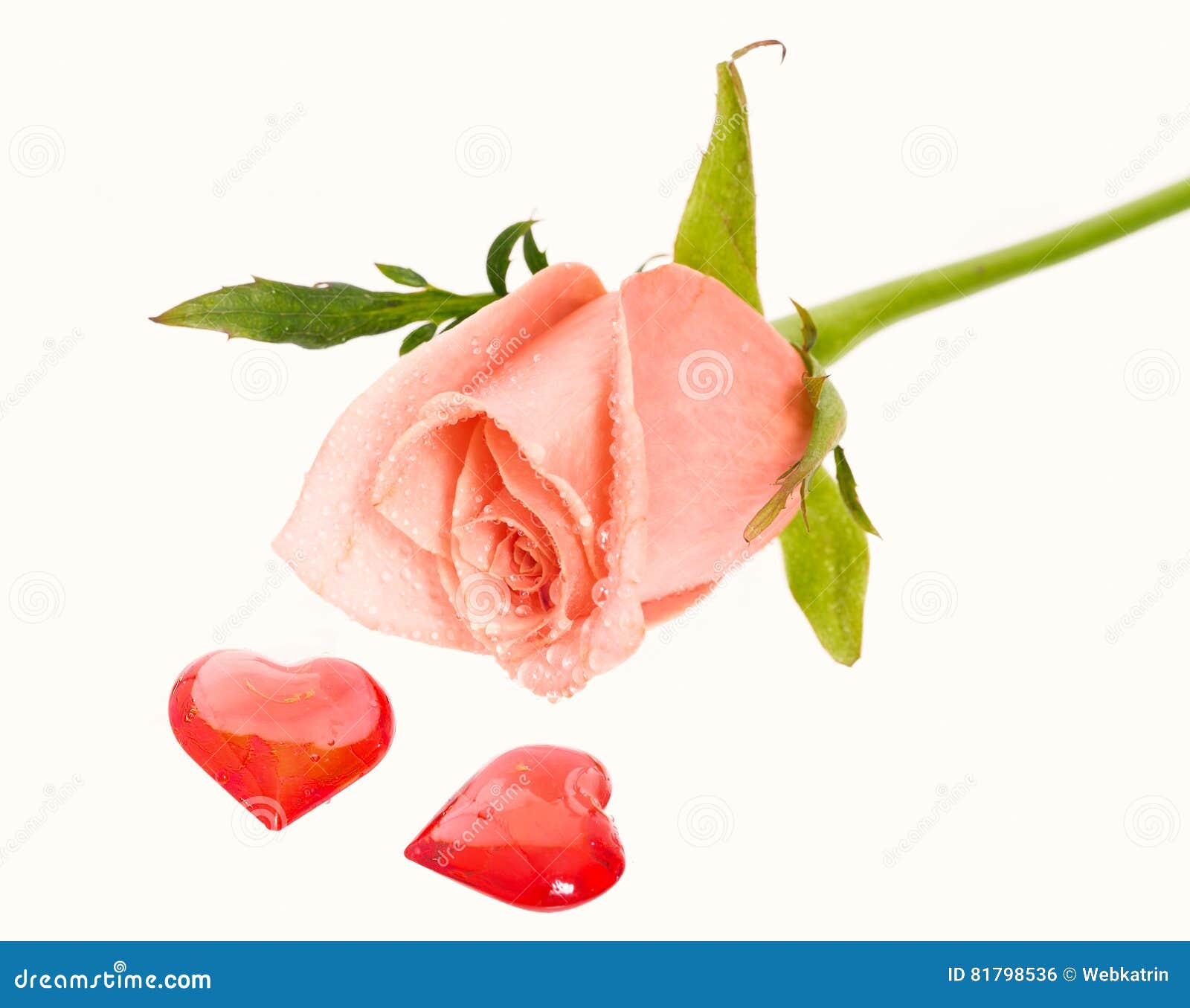 Pink Roses and Two Hearts on a White Background Stock Photo - Image of ...
